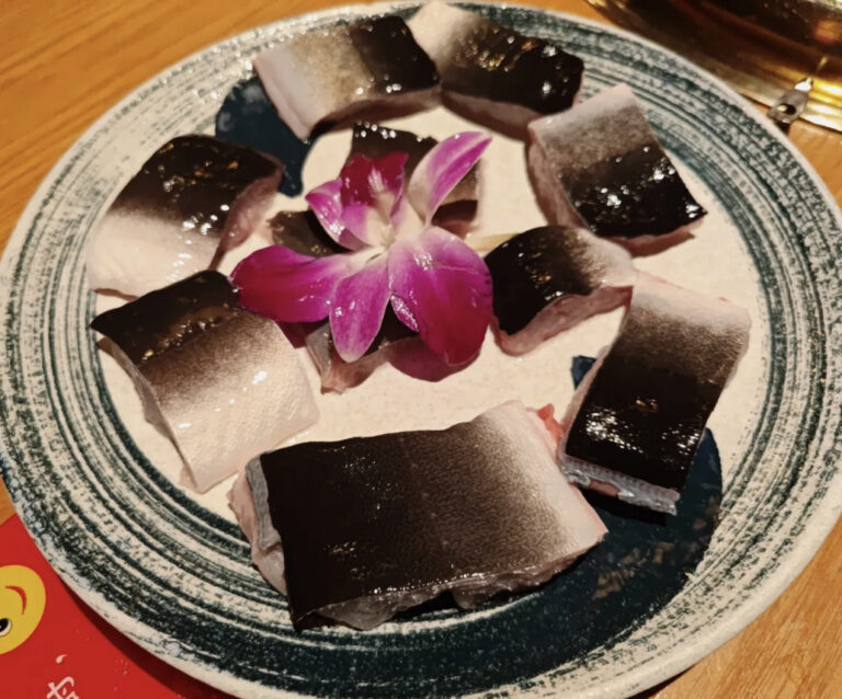 廣東城際鐵路開通！購票方式+城際線路圖提前知 - 深哥 SZgor.com