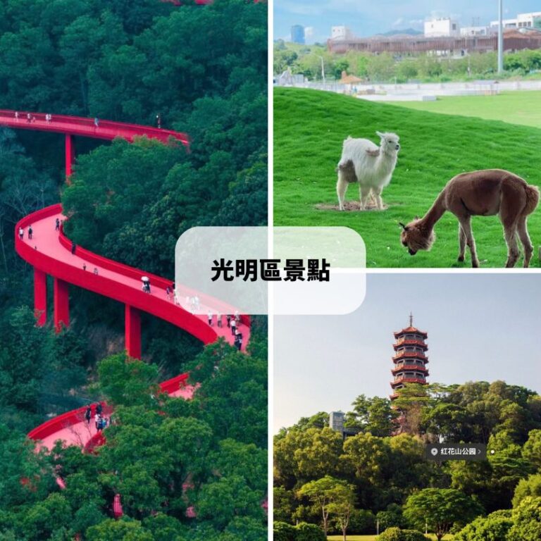 【深圳景點2025】深圳景點地圖 羅湖/福田/南山等多個區域景點 - 深哥 SZgor.com