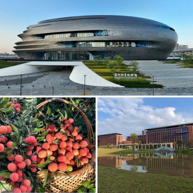 【Party day運動超樂場】龍崗萬達廣場10萬呎室內遊樂場 附地址/門票及收費 - 深哥 SZgor.com