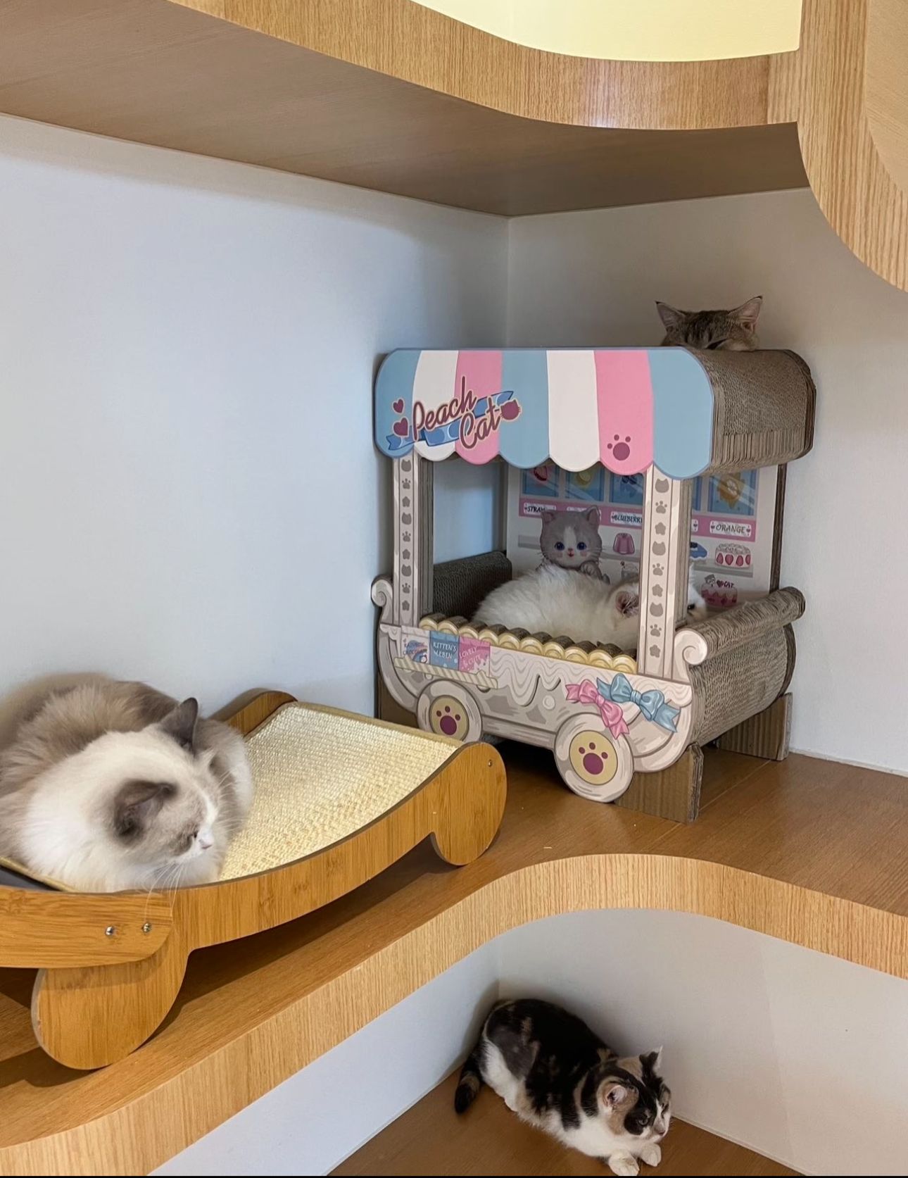 【深圳DX-PARK 2.0·地心公園】寶安前海潮玩室內遊樂場+全日任食自助餐！有卡丁車區、碰碰車、電競區、貓咪Café ！一票暢玩100+項目！ - 深哥 SZgor.com