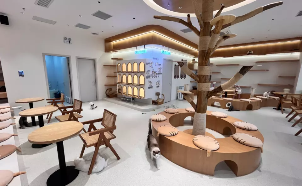 【深圳DX-PARK 2.0·地心公園】寶安前海潮玩室內遊樂場+全日任食自助餐！有卡丁車區、碰碰車、電競區、貓咪Café ！一票暢玩100+項目！ - 深哥 SZgor.com