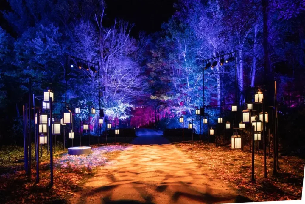 【深圳哈利波特】禁忌森林體驗夜遊9月9日搶早鳥票！10月正式登陸深圳！即睇活動時間、地址及售票詳情