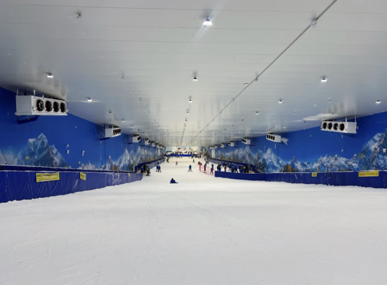 【深圳野生動物園】2025深圳野生動物園遊玩攻略/港人門票優惠/附近酒店！港人專屬優惠低至HK$99/人 - 深哥 SZgor.com